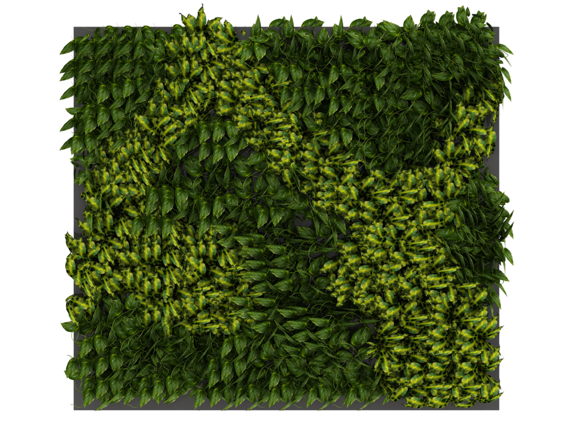 3 Choses à faire pour réussir la pose de son mur végétal artificiel