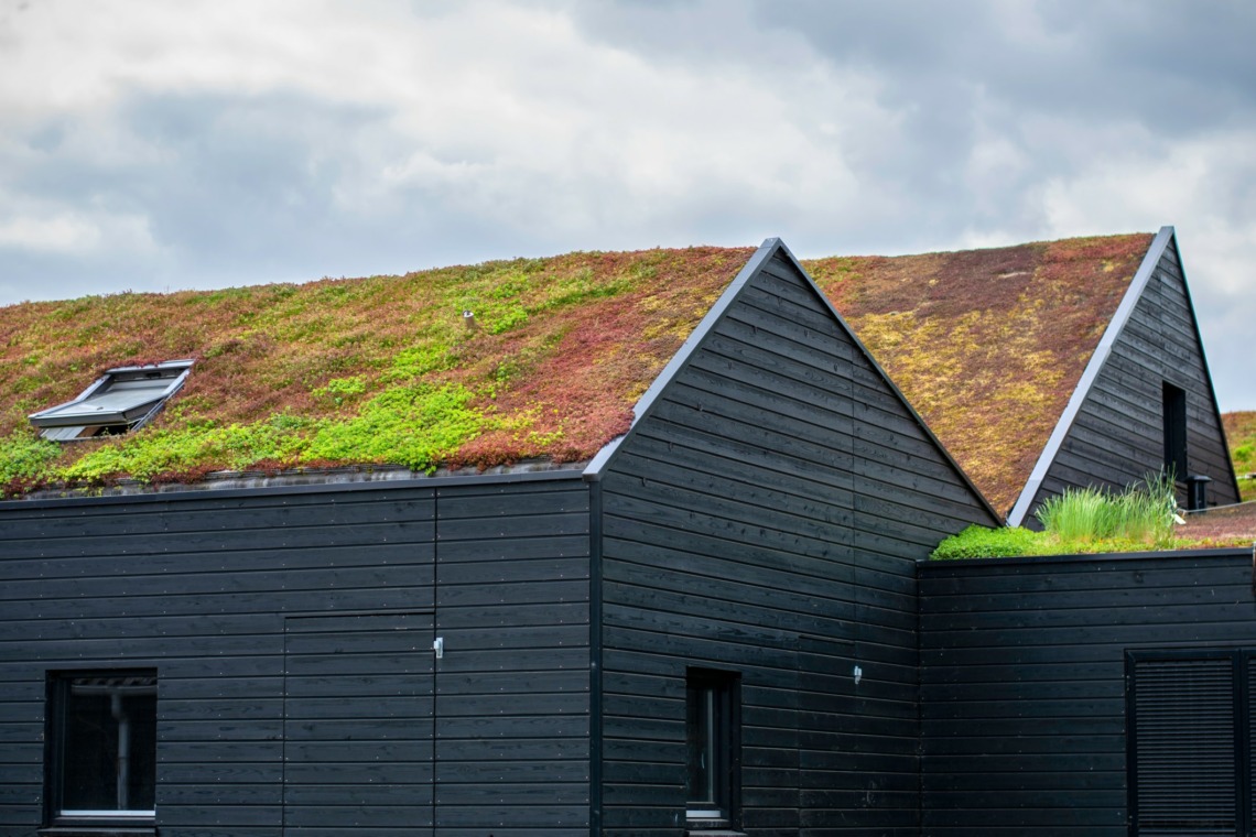 Toiture végétalisée : pourquoi mettre en place un toit végétal