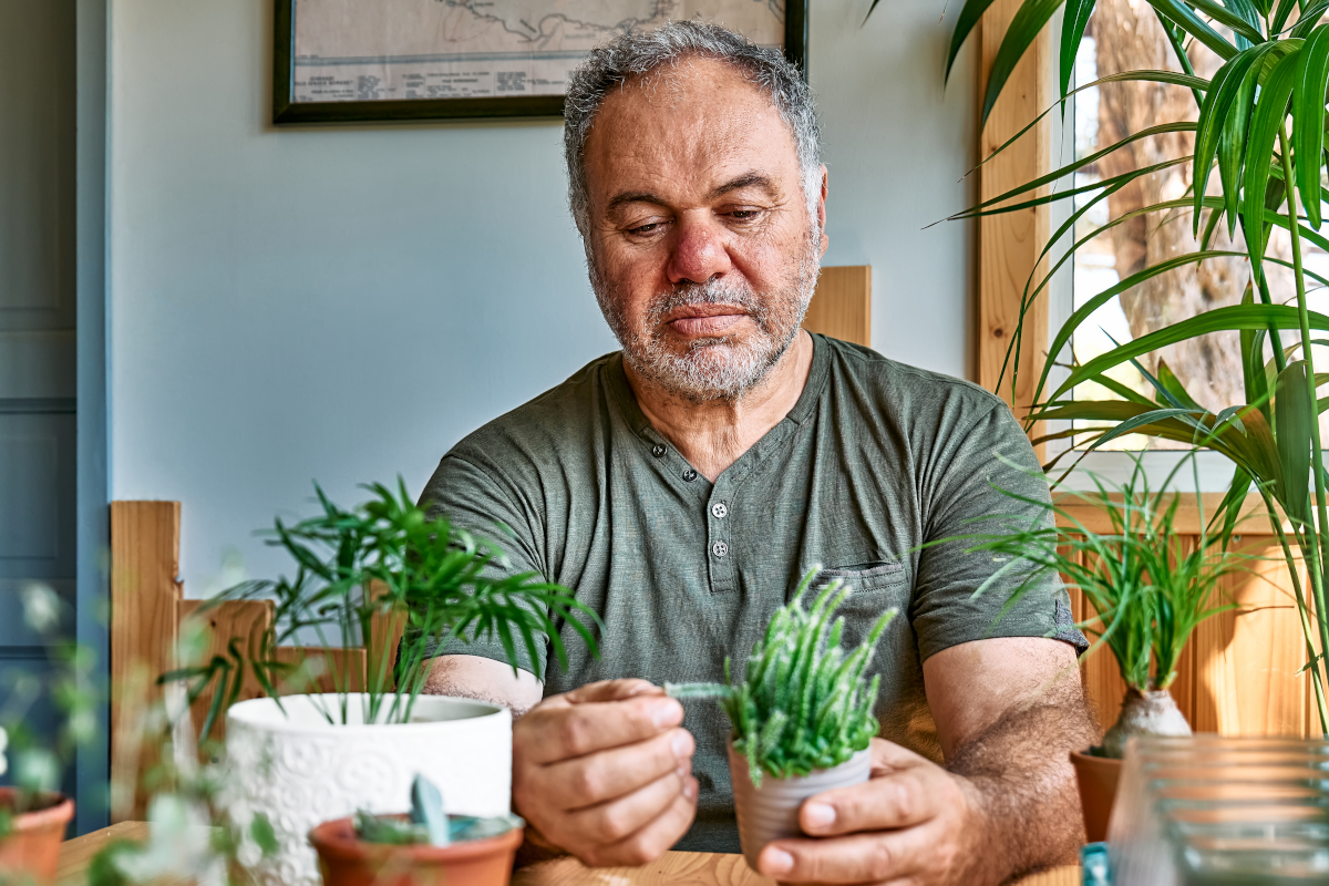 Comment procéder pour bien réussir l'entretien des plantes