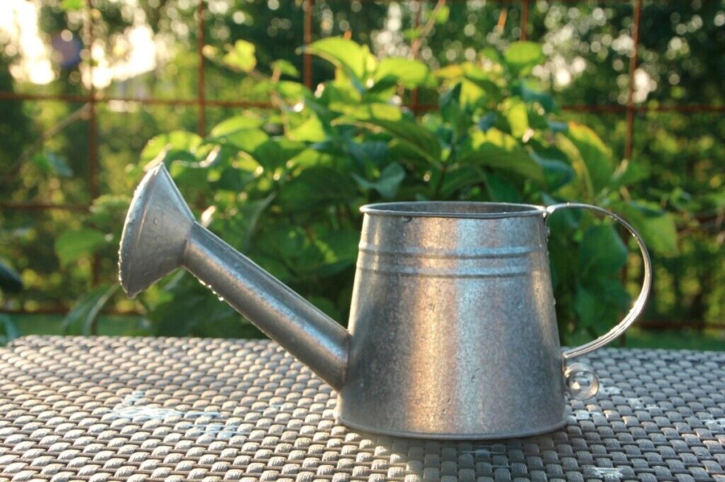 Arrosoirs écologiques pour un jardinage durable