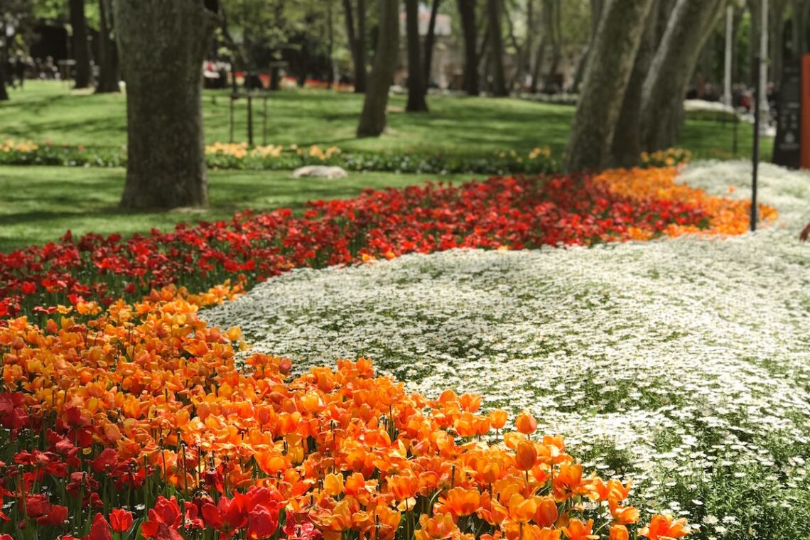 Parterre de fleurs sans entretien : des astuces pour un jardin facile à vivre
