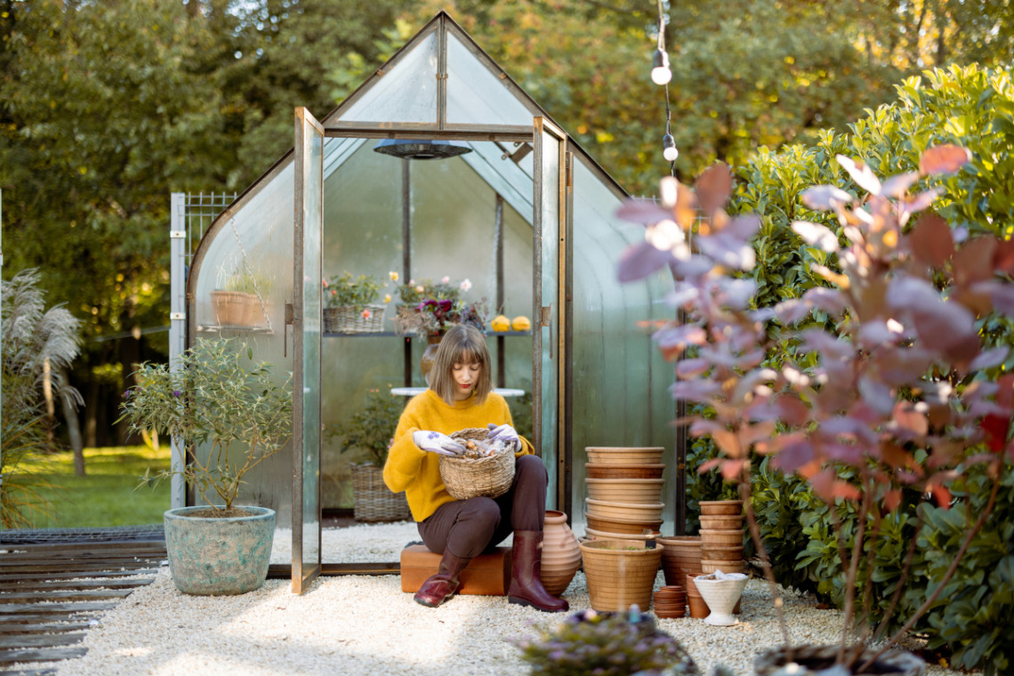 Quel est le meilleur moment pour installer une serre dans son jardin