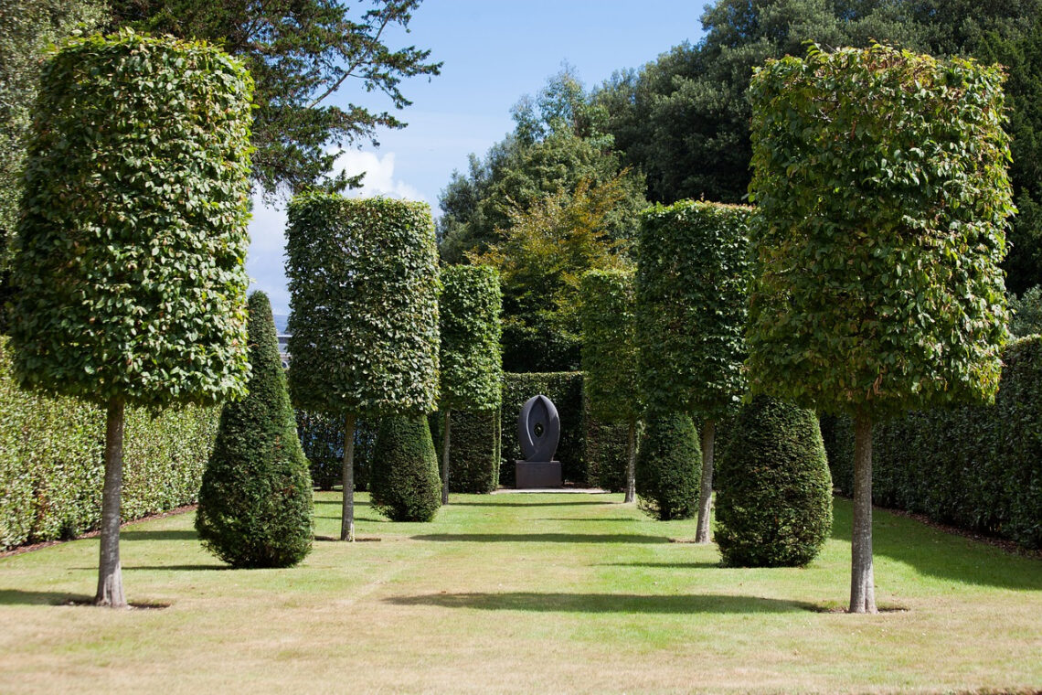 Quand tailler les taxus ? Conseils et astuces pour entretenir vos arbustes
