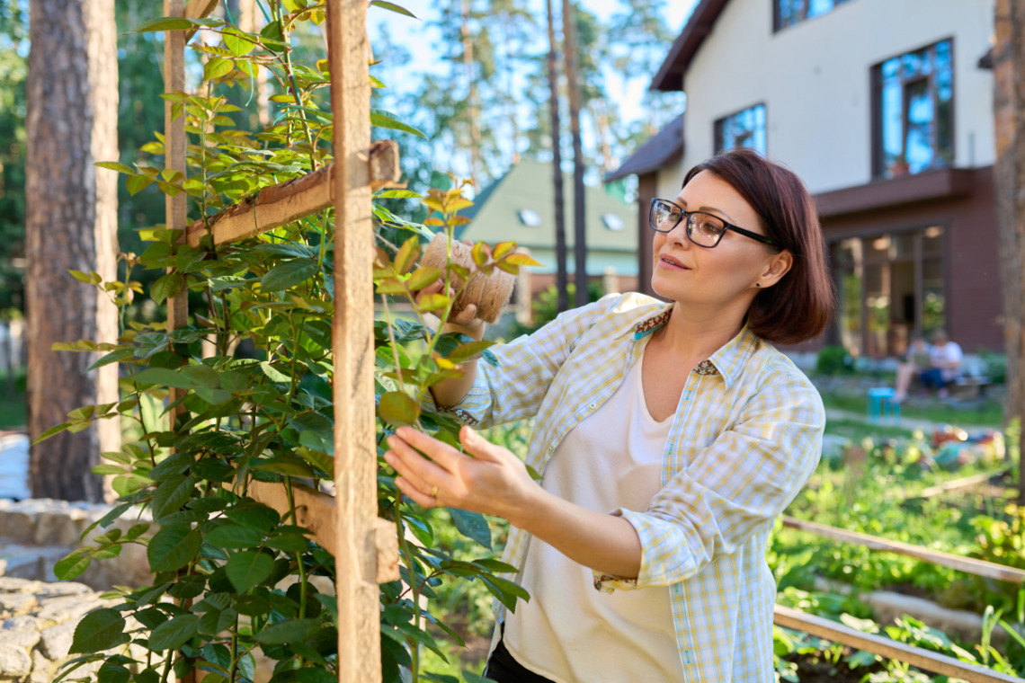 Installer un treillis pour une plante grimpante : comment faire